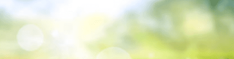 Alvea Hotel | Rooms