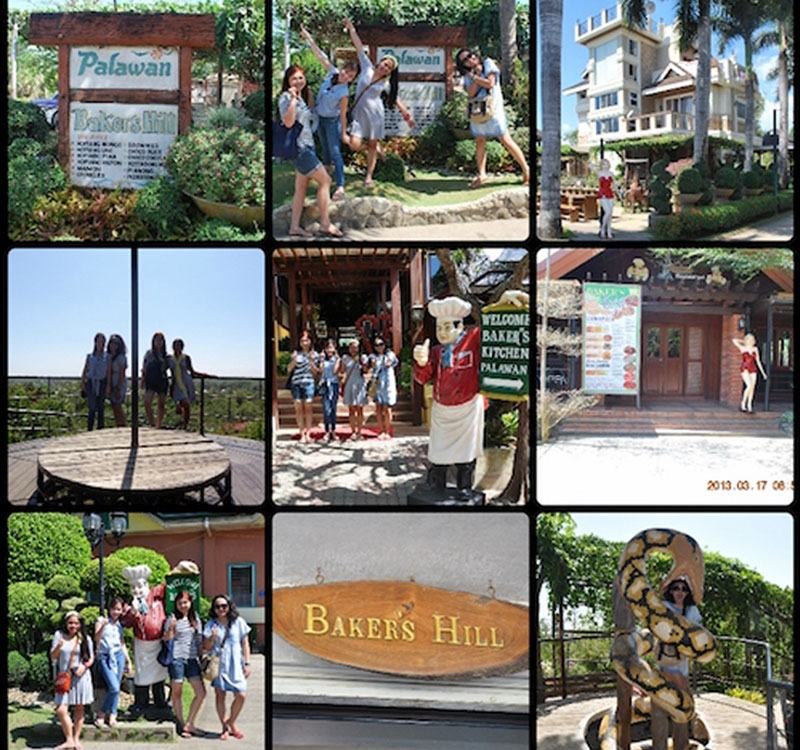 Half Day City Tour | Alvea Hotel